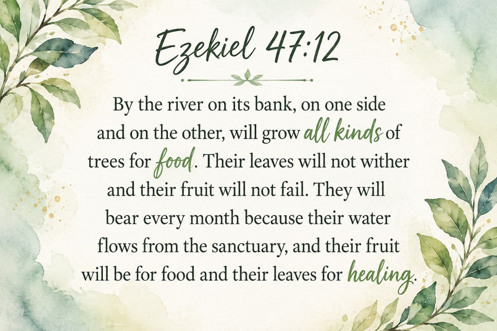Trees with Healing in Their Leaves – alabamaforesthealingco